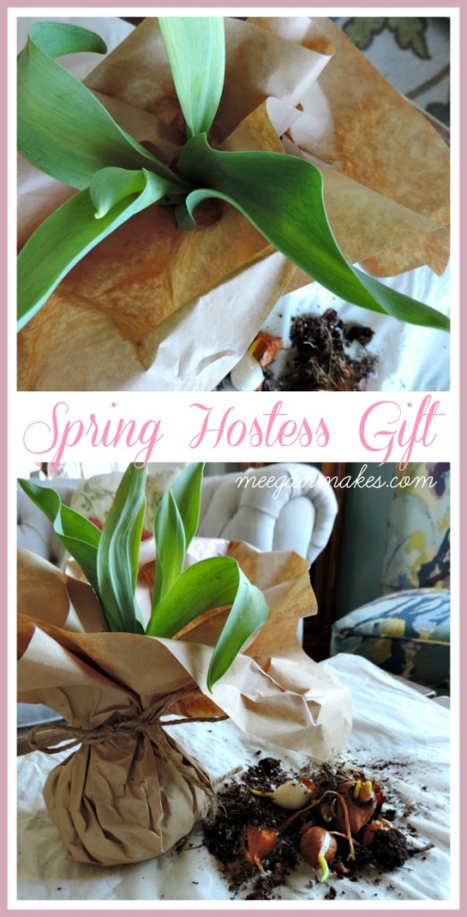 How To Make a Spring Hostess Gift - What Meegan Makes