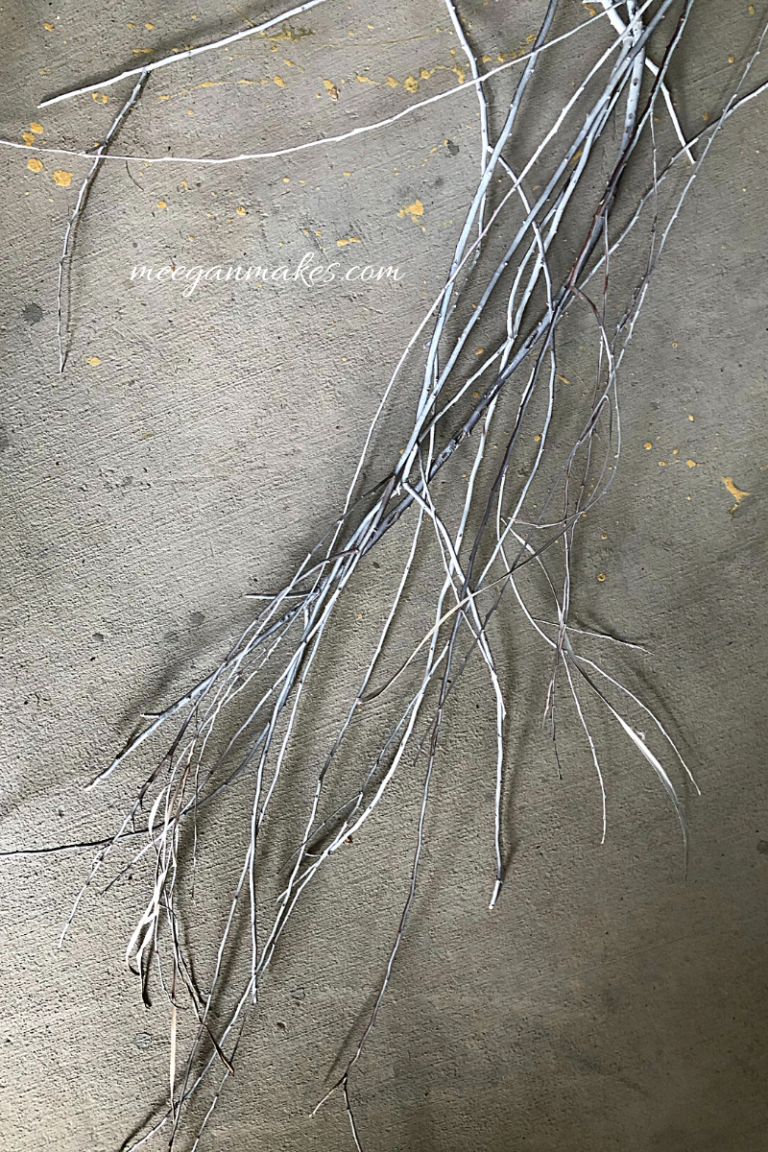 DIY Decorative Branches for Home Décor - What Meegan Makes