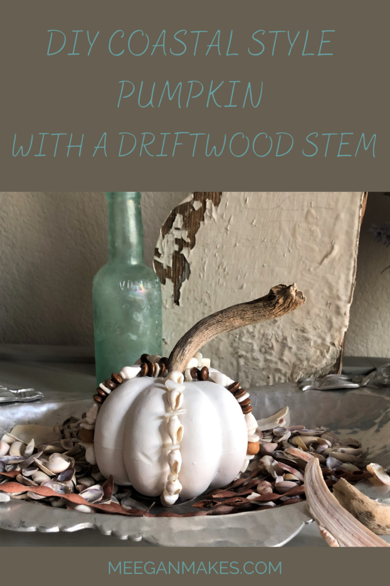 How To Decorate Pumpkins with Sea Shells and Driftwood - What Meegan Makes