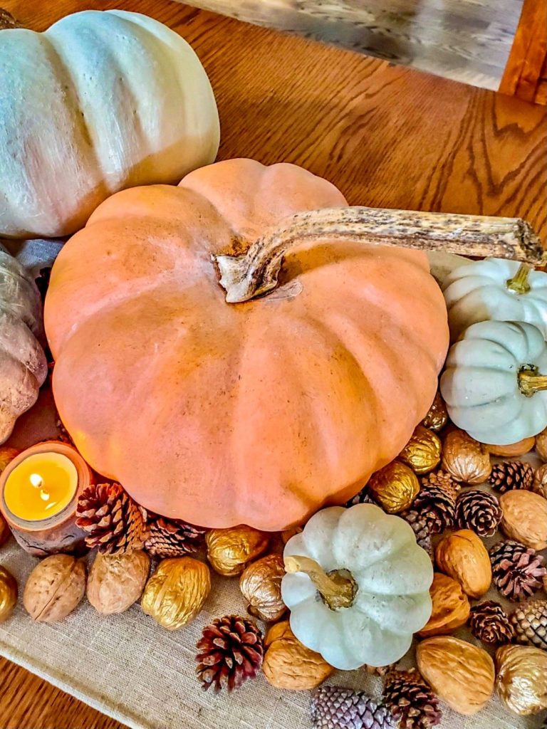 How To Decorate Pumpkins with Sea Shells and Driftwood - What Meegan Makes