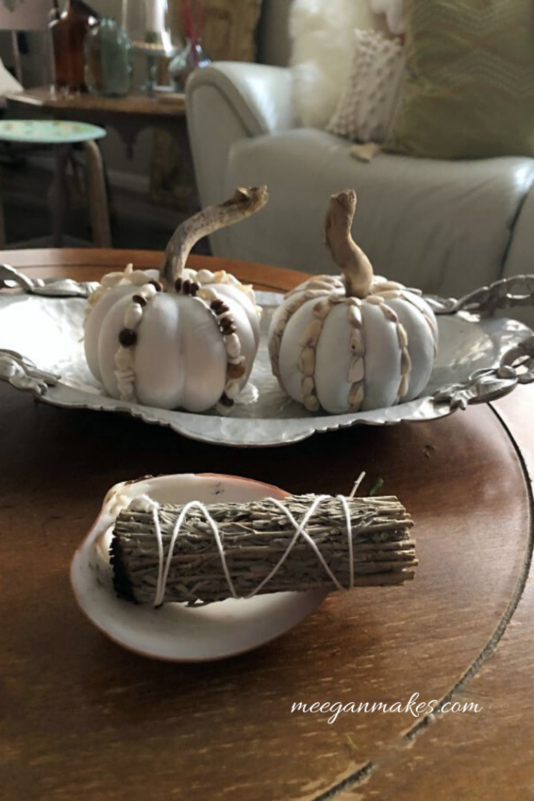 How To Decorate Pumpkins With Sea Shells - What Meegan Makes