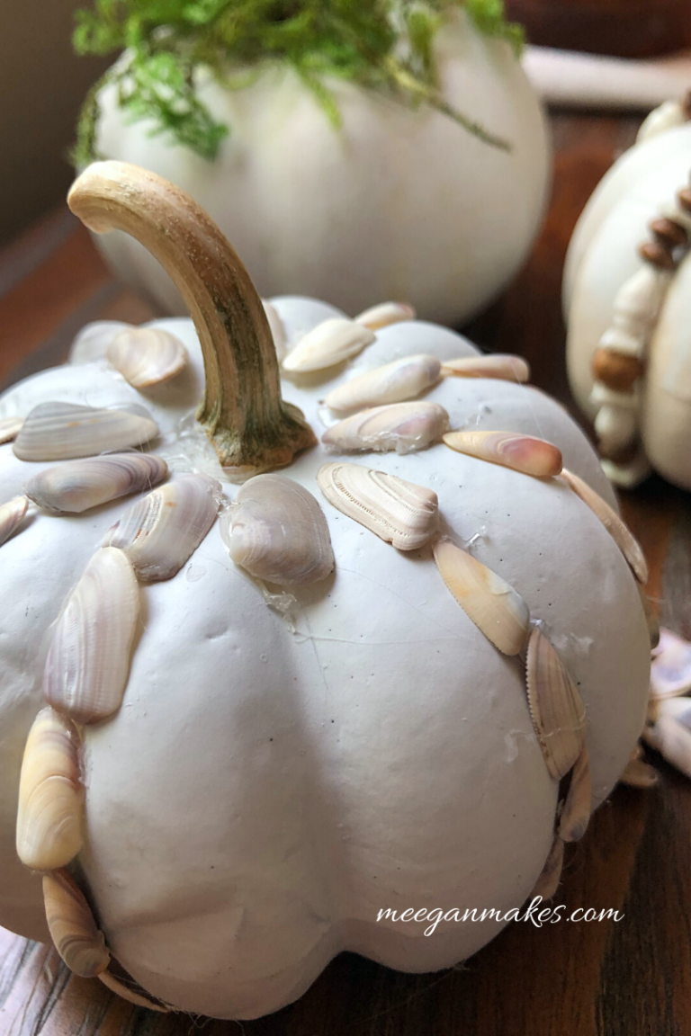 How To Decorate Pumpkins With Sea Shells - What Meegan Makes