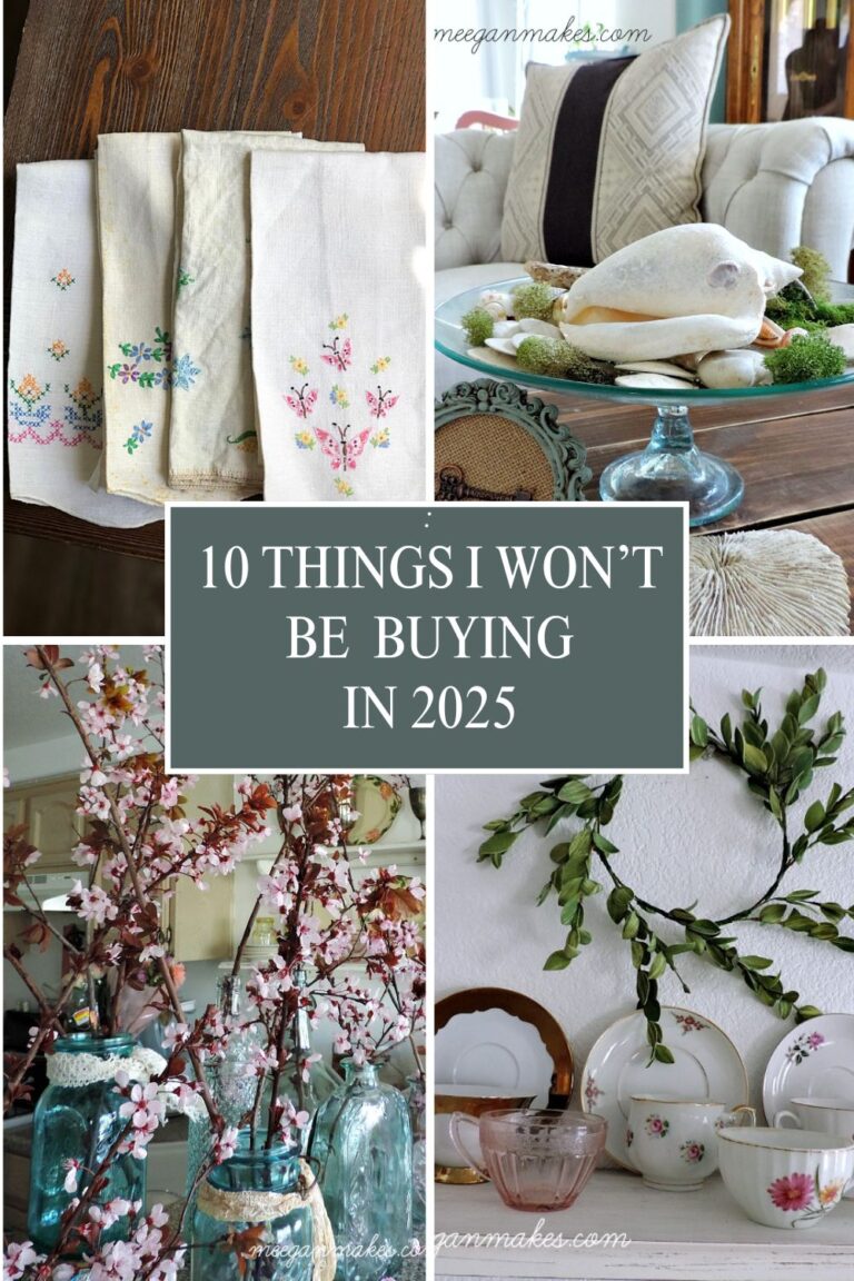 Ten Things I Won't Be Buying in 2025 - What Meegan Makes